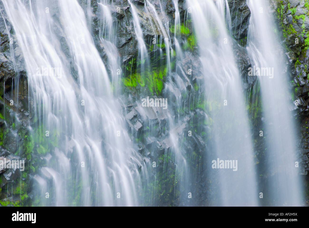 Narada Falls Mount Rainier National Park Washington Stock Photo - Alamy