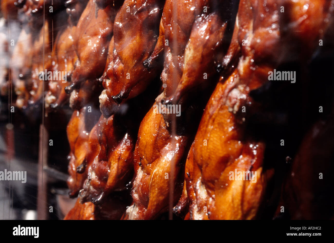 Headless duck hi-res stock photography and images - Alamy