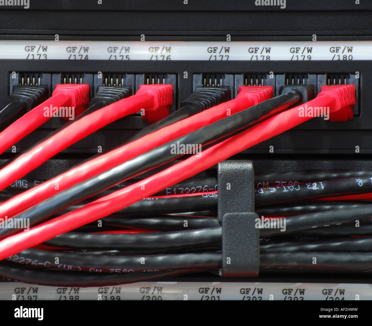 Cables connections on a Internet file server Stock Photo - Alamy