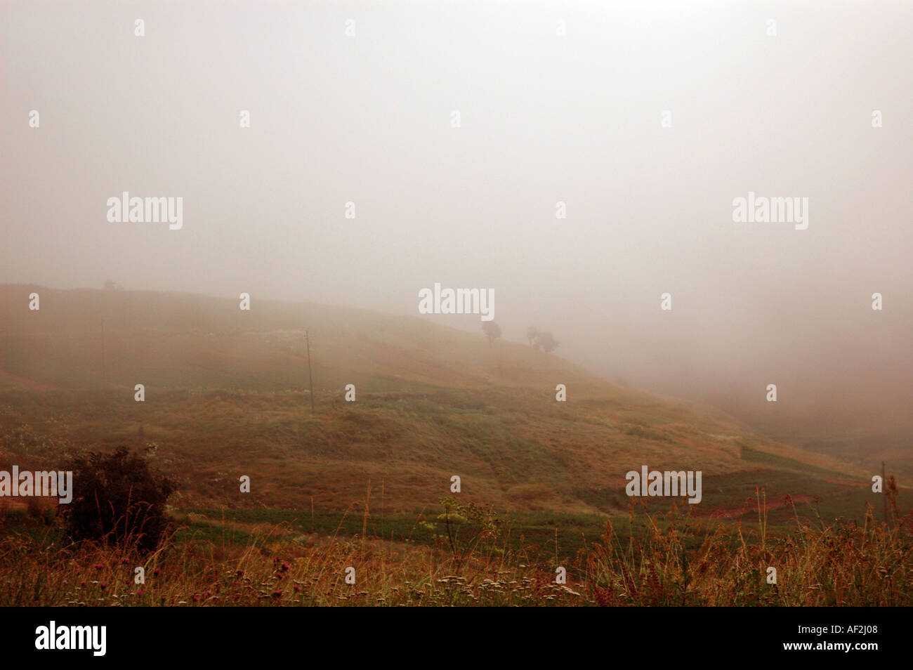 landscape mist Rodopy Bulgaria Stock Photo - Alamy