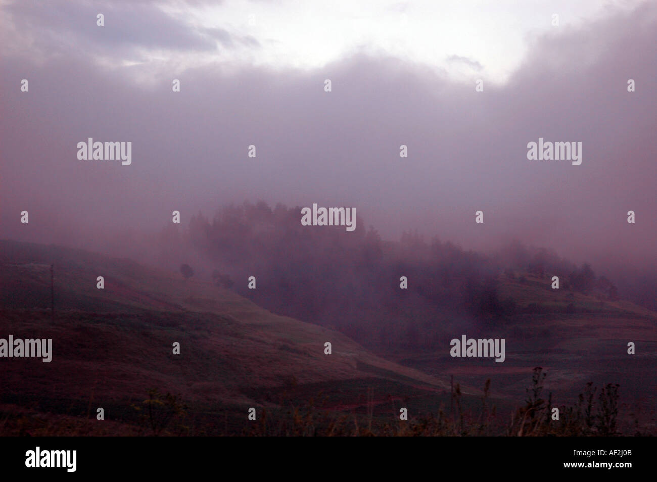 landscape mist Rodopy Bulgaria Stock Photo - Alamy
