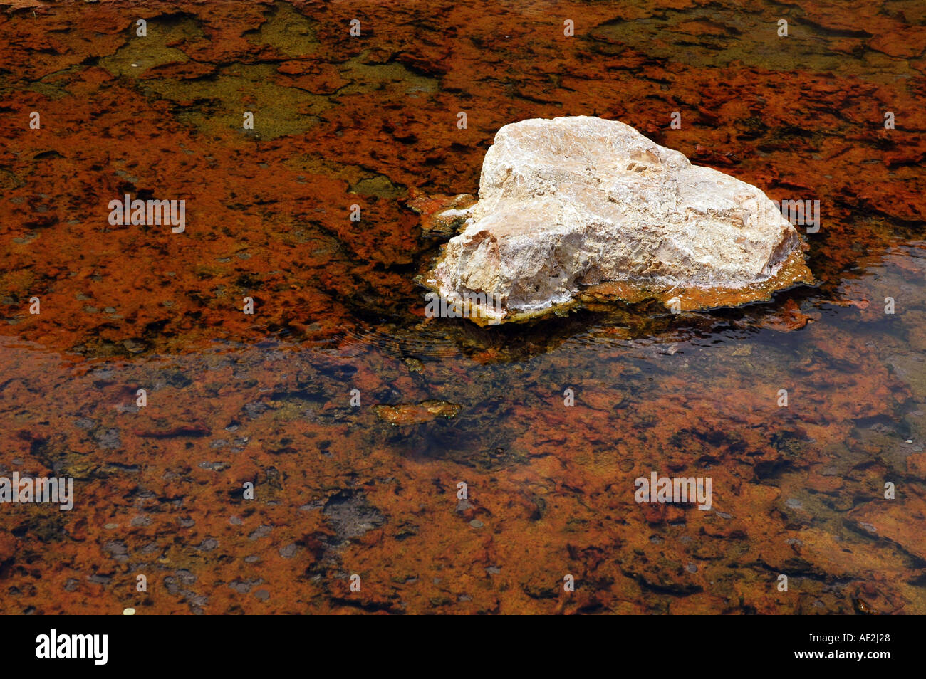 landscape stoun morass water Rupite Bulgaria Stock Photo - Alamy