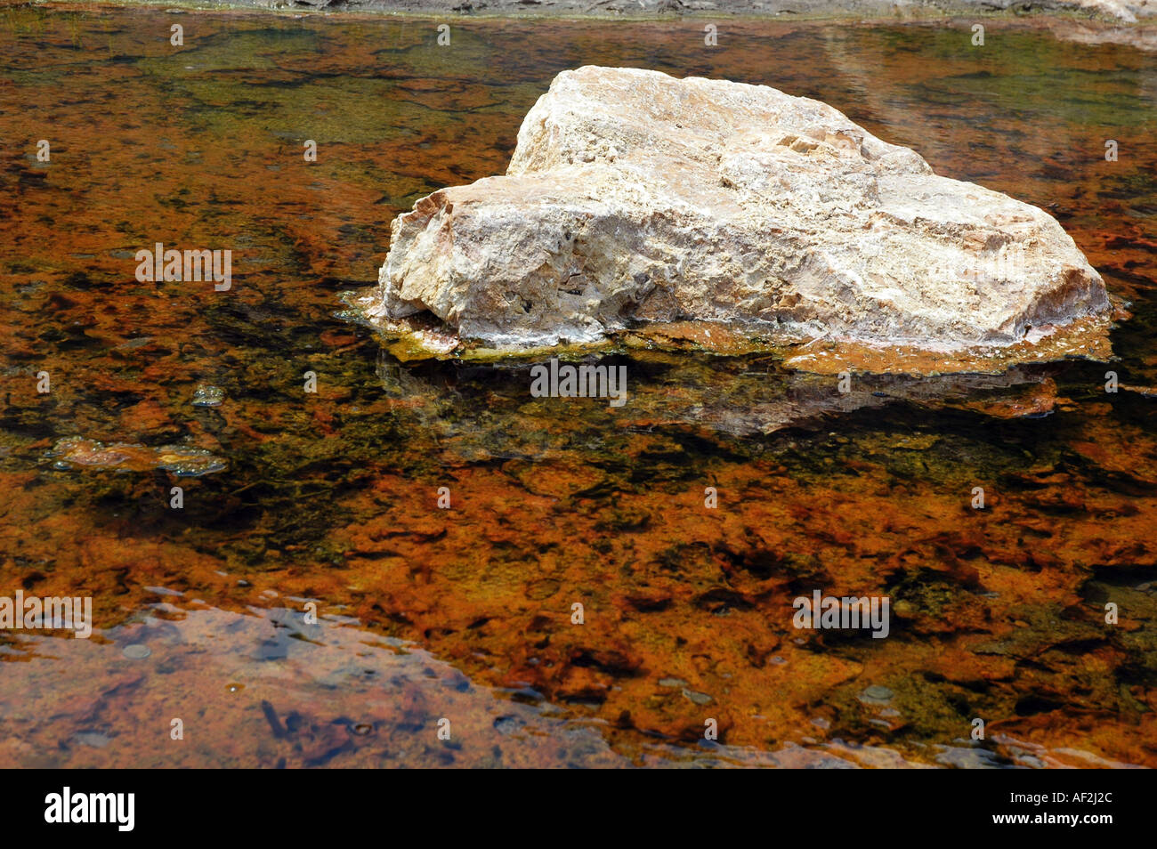 landscape stoun morass water Rupite Bulgaria Stock Photo - Alamy