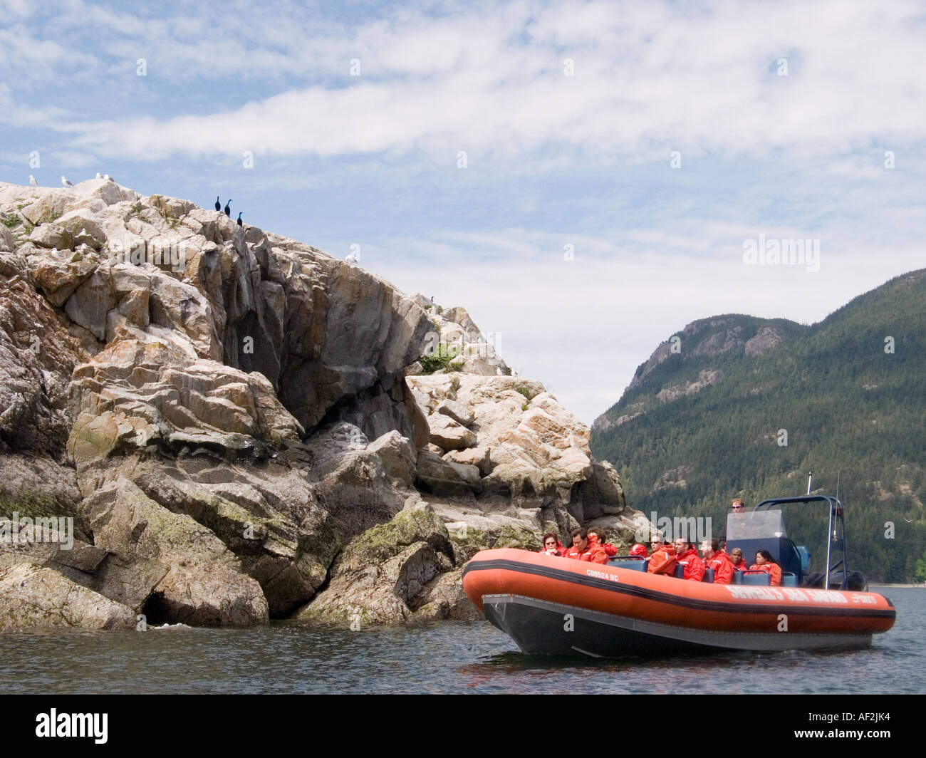 Howe sound vancouver, wildlife hi-res stock photography and images - Alamy