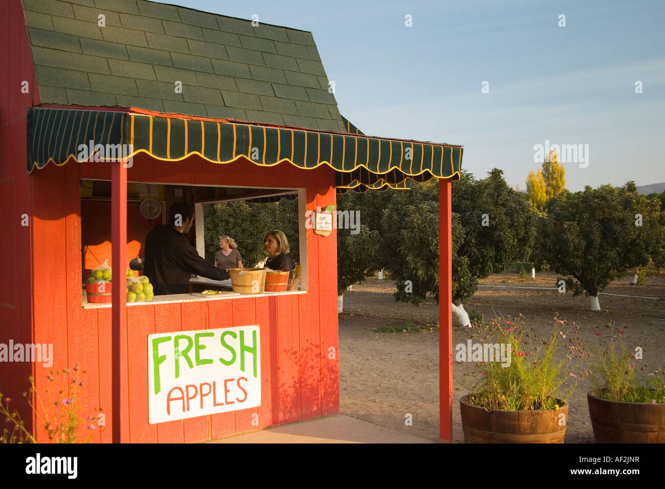 Apple picking california hi-res stock photography and images - Alamy