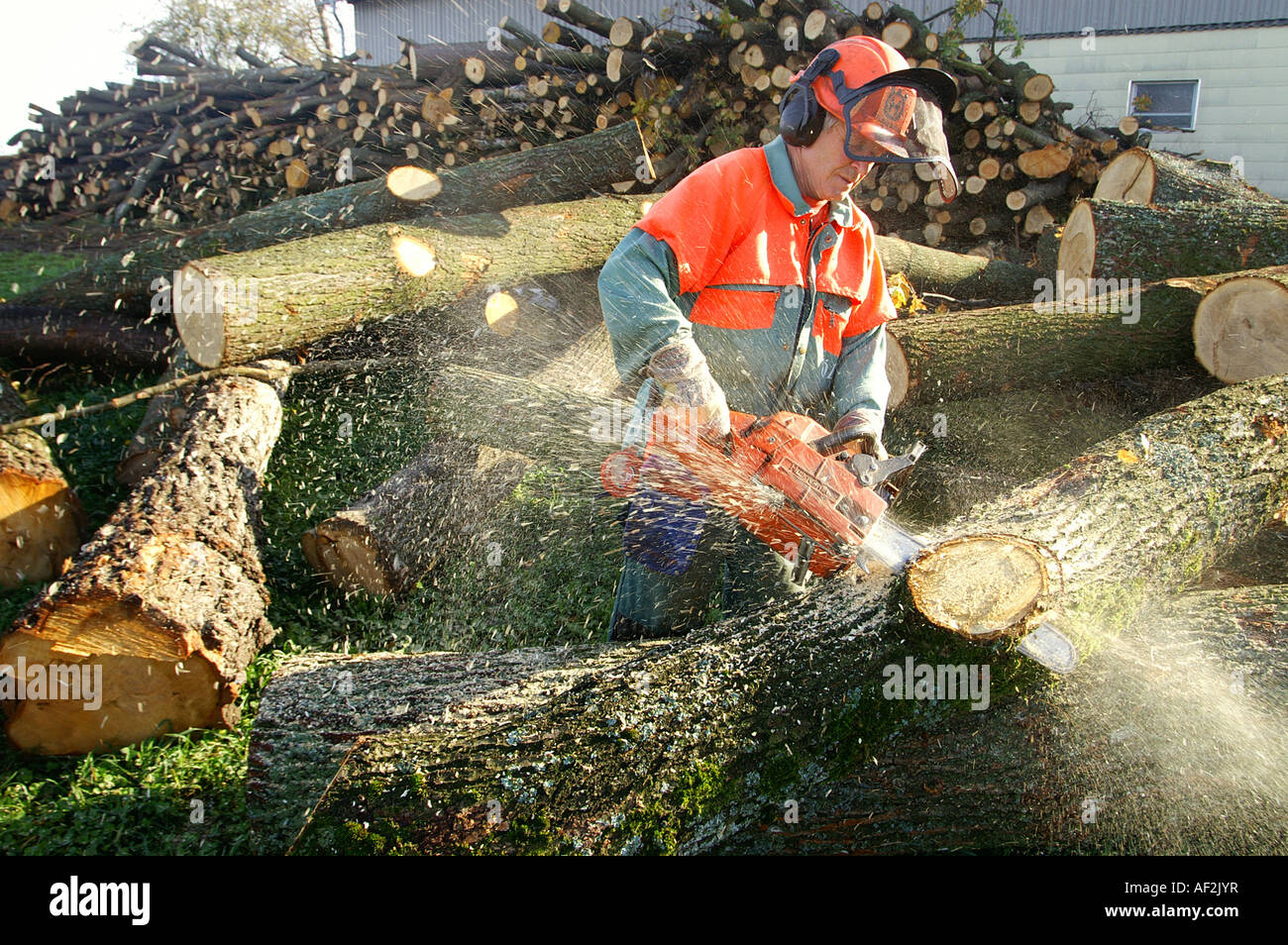 Chain saw timber factory hi-res stock photography and images - Alamy