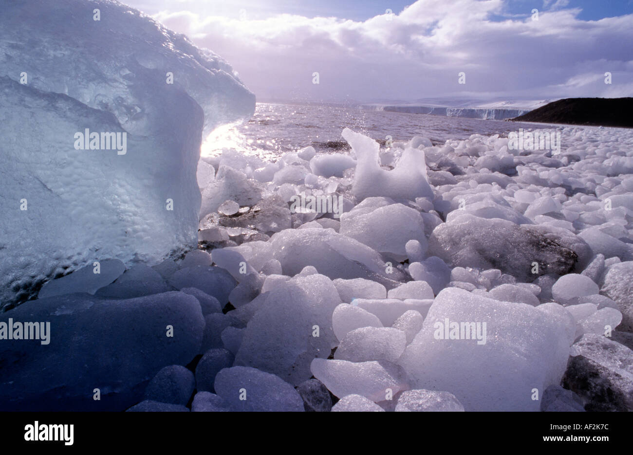 Snow ice and icebergs Livingstone Island Antarctica Stock Photo - Alamy