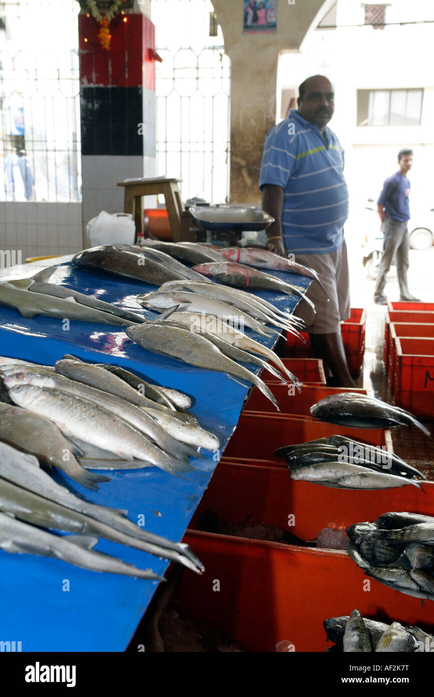 Margao fish market hi-res stock photography and images - Alamy