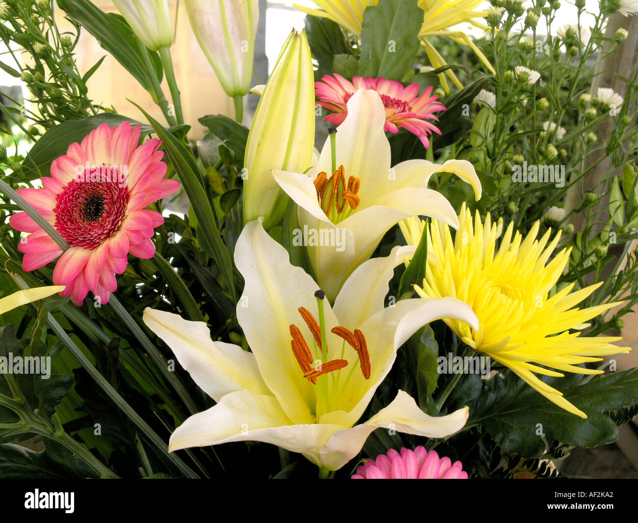 selection of flowers for sale at local market Stock Photo - Alamy