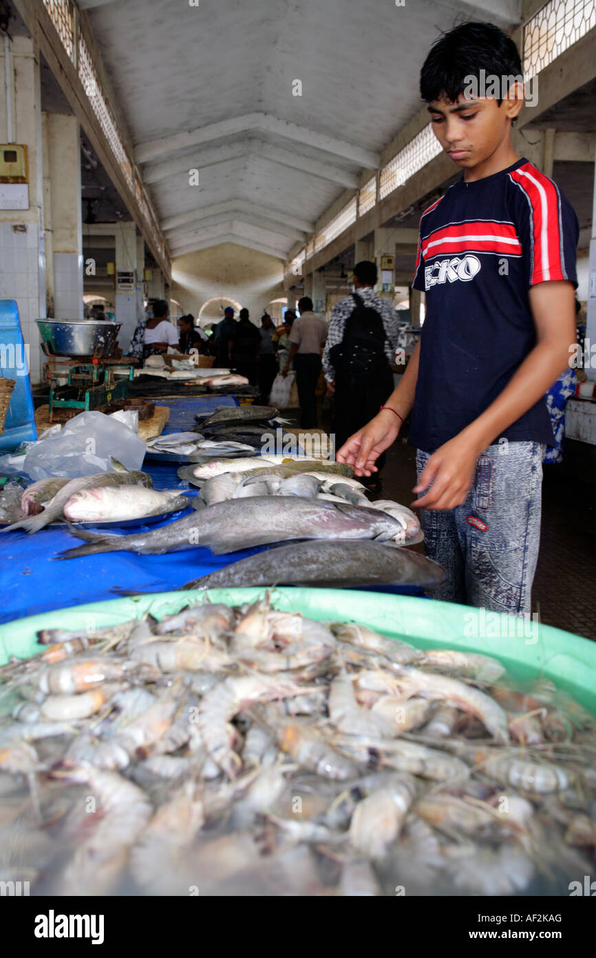 Goa margao fish market hi-res stock photography and images - Alamy