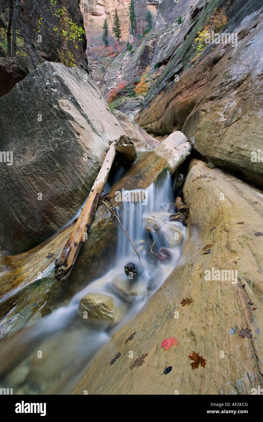 Orderville slot canyon, Narrows, zion national park Stock Photo - Alamy