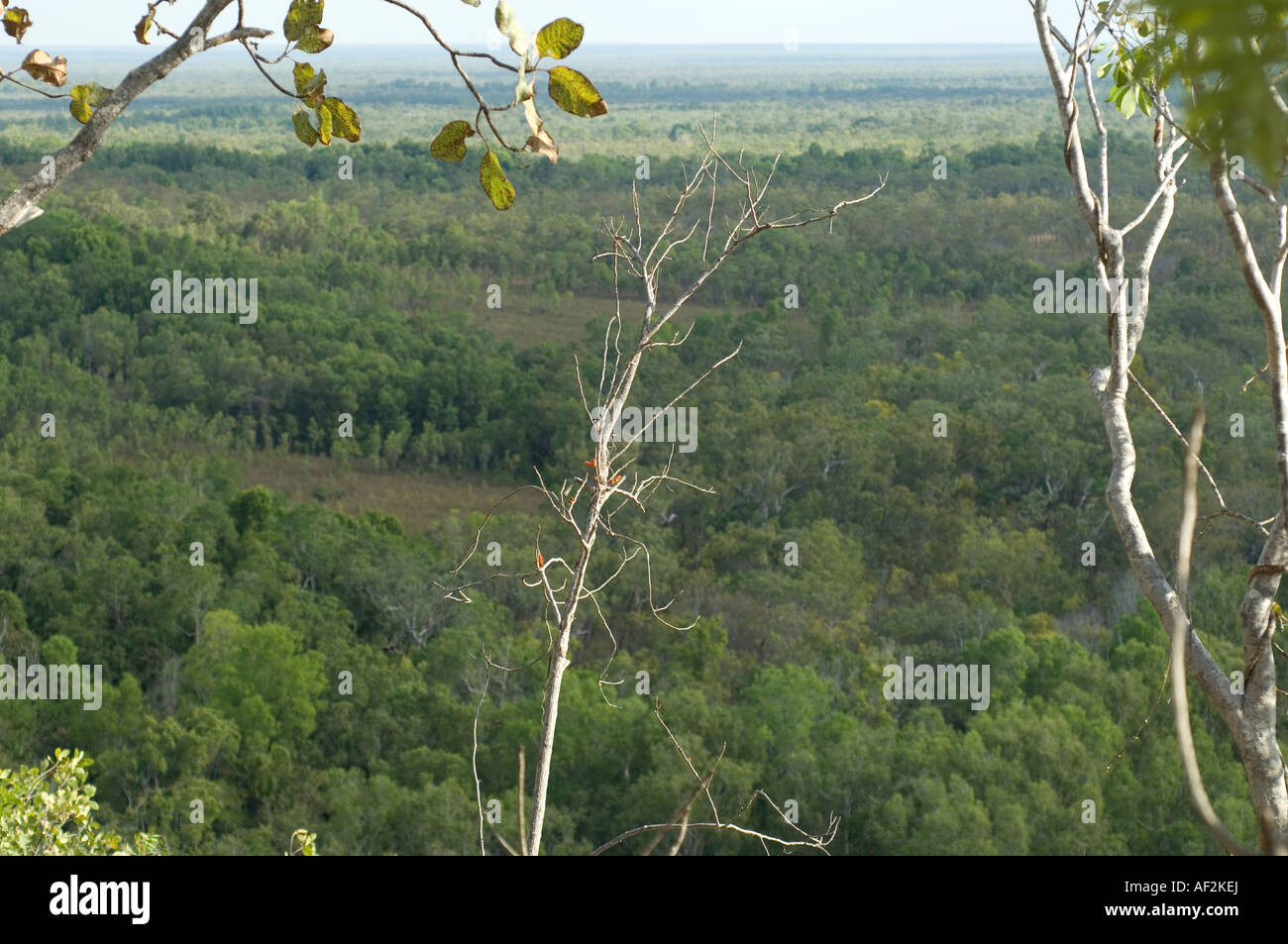 Bush around Darwin Australia Stock Photo - Alamy