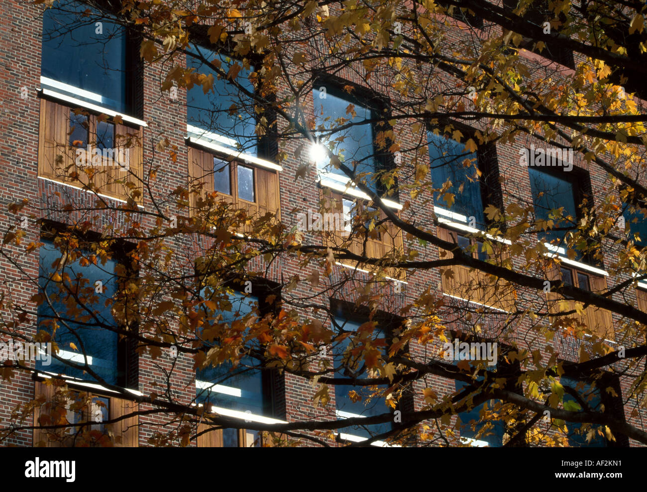 Philips Exeter Library, New Hampshire, 1969 - 1971. Architect: Louis ...