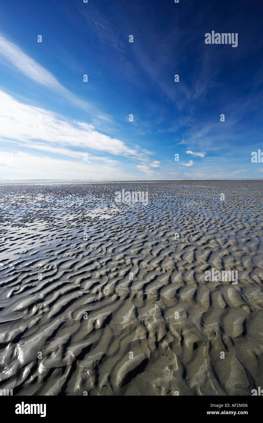 Beach Doctors Point near Dunedin South Island New Zealand Stock Photo ...