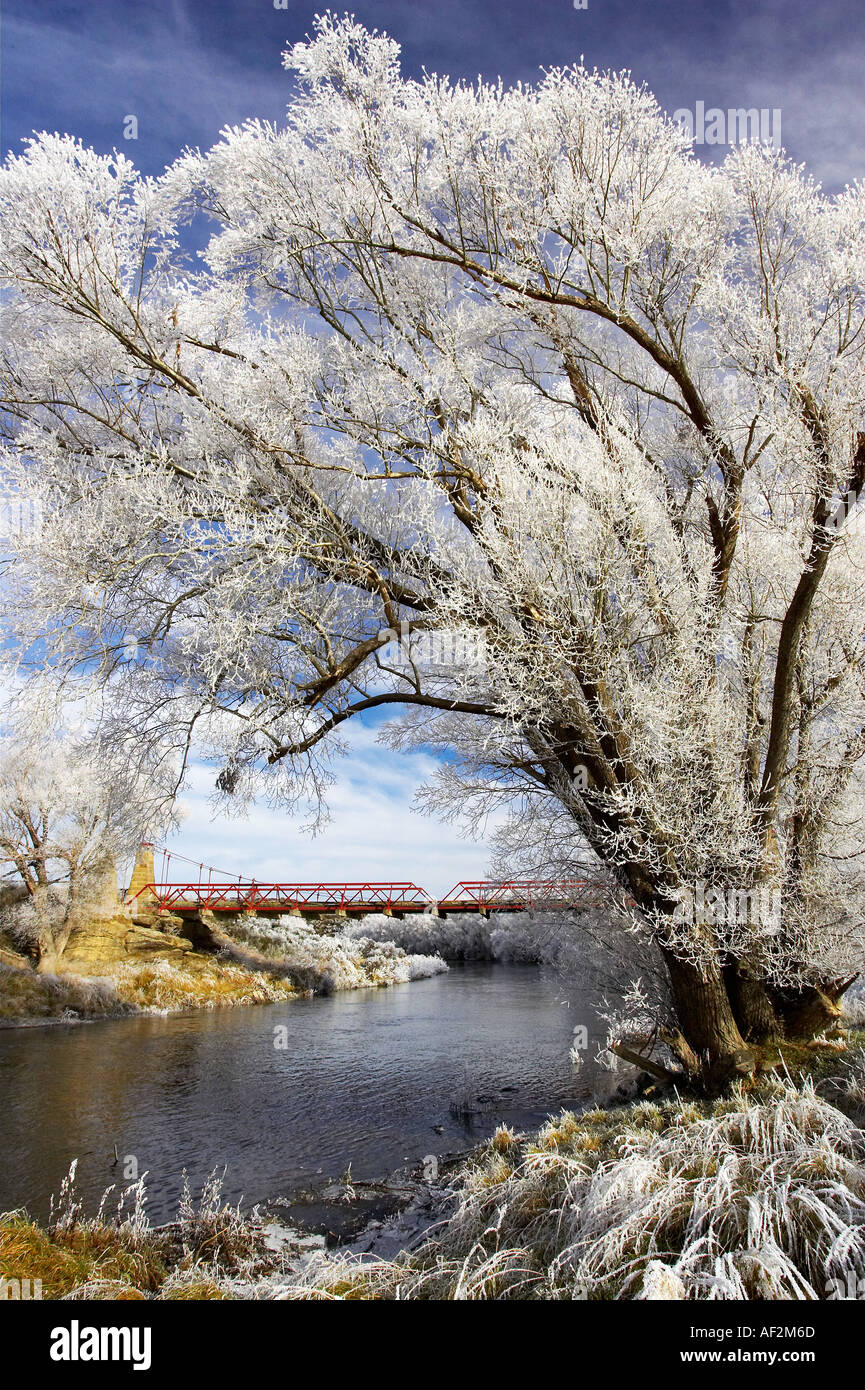 Historic Suspension Bridge Taieri River Sutton Otago South Island New ...