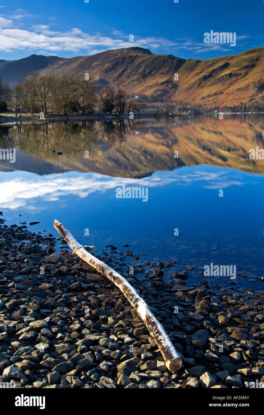 A Frosted Log Lies on the Lakeshore of Derwent Water, Below Cat Bells ...