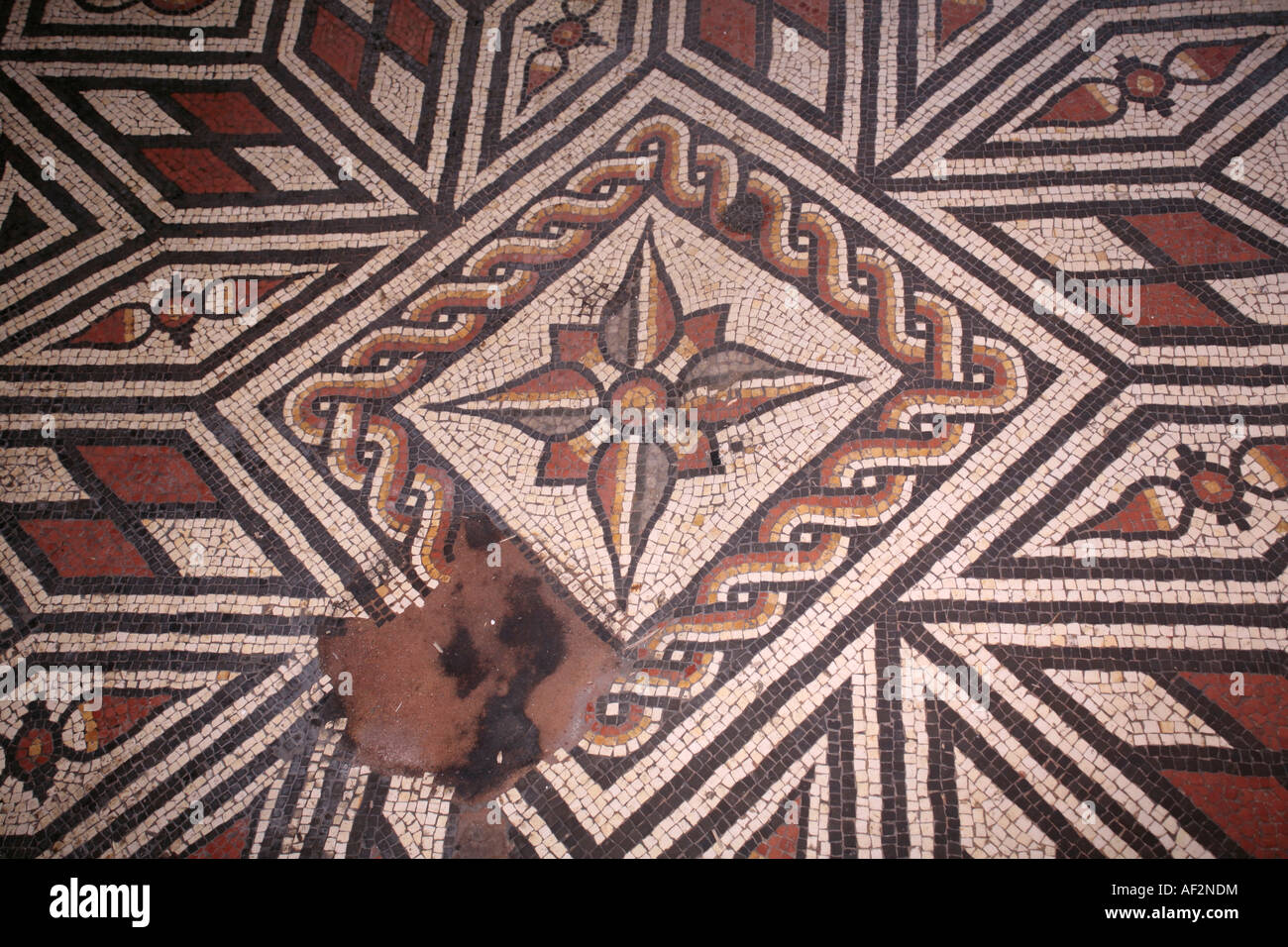 Tessellated floor hi-res stock photography and images - Alamy