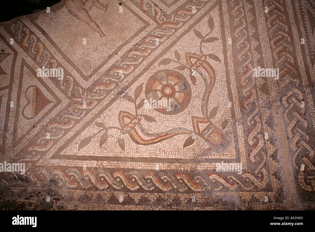 Tessellated floor hi-res stock photography and images - Alamy