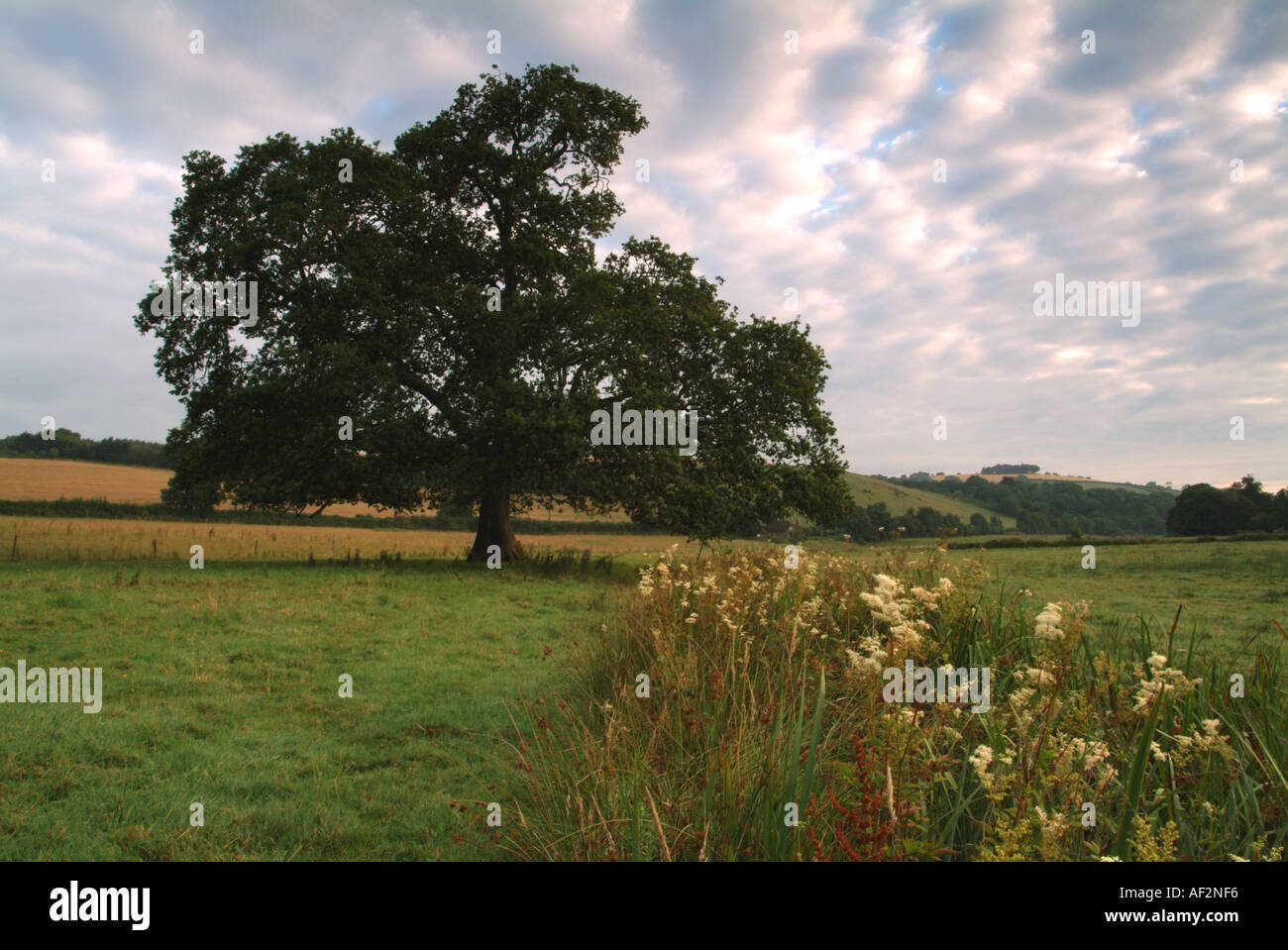 Ermington hi-res stock photography and images - Alamy
