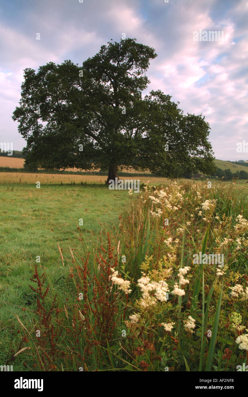 Ermington hi-res stock photography and images - Alamy