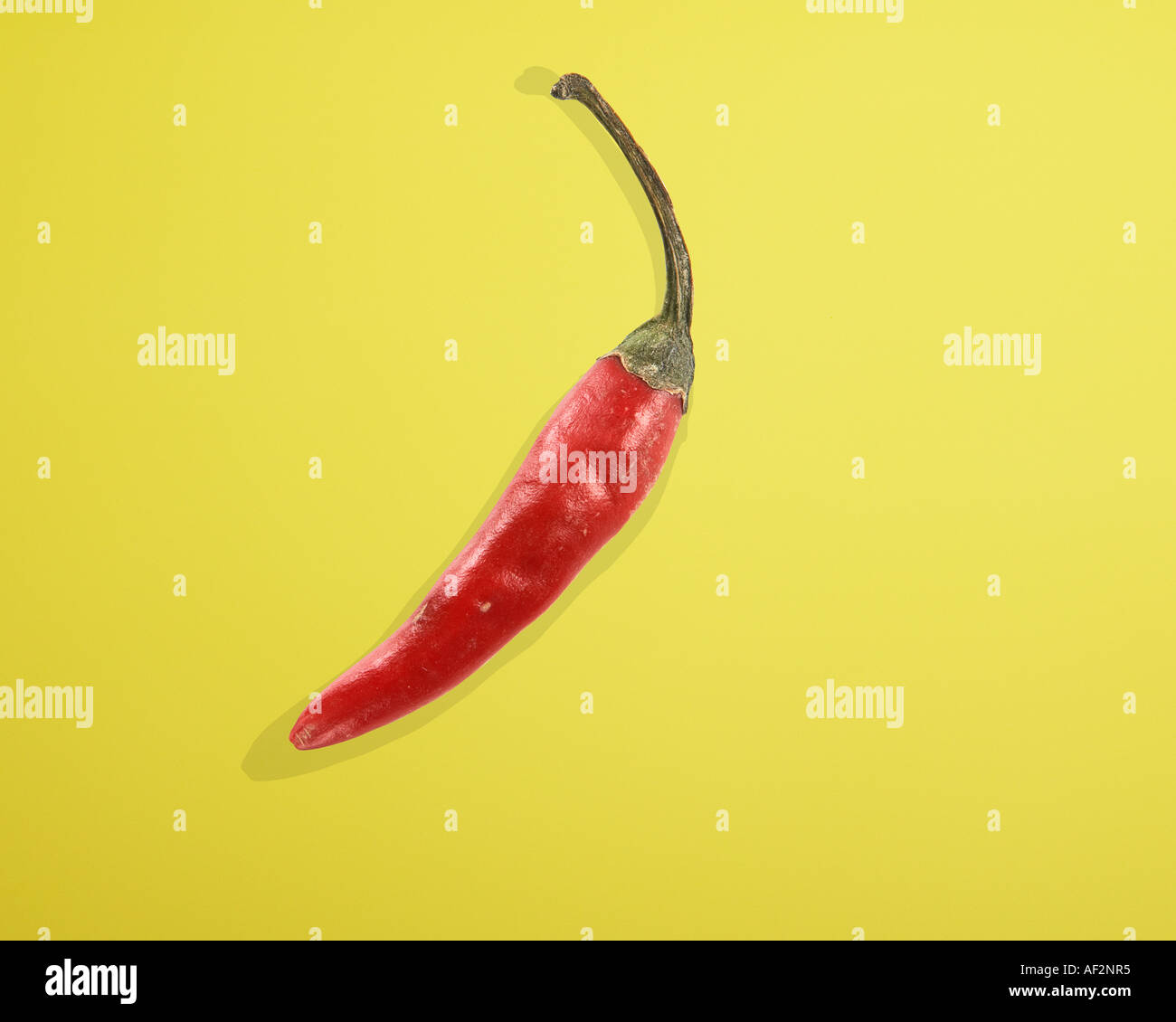 Red Rocket Stock Hot red chili pepper on color background with clipping ...