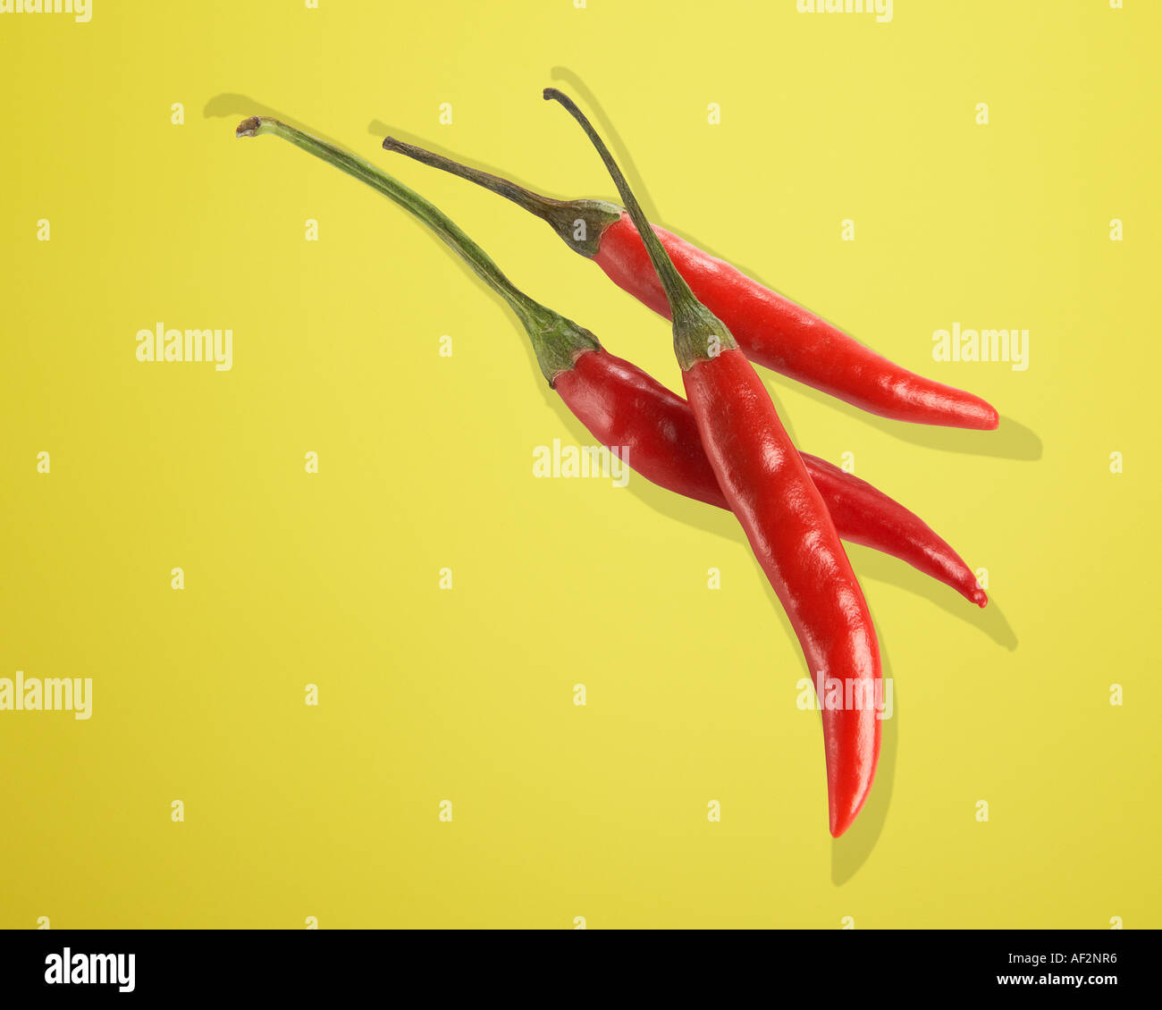 Red Rocket Stock Red hot chili peppers on color background with ...