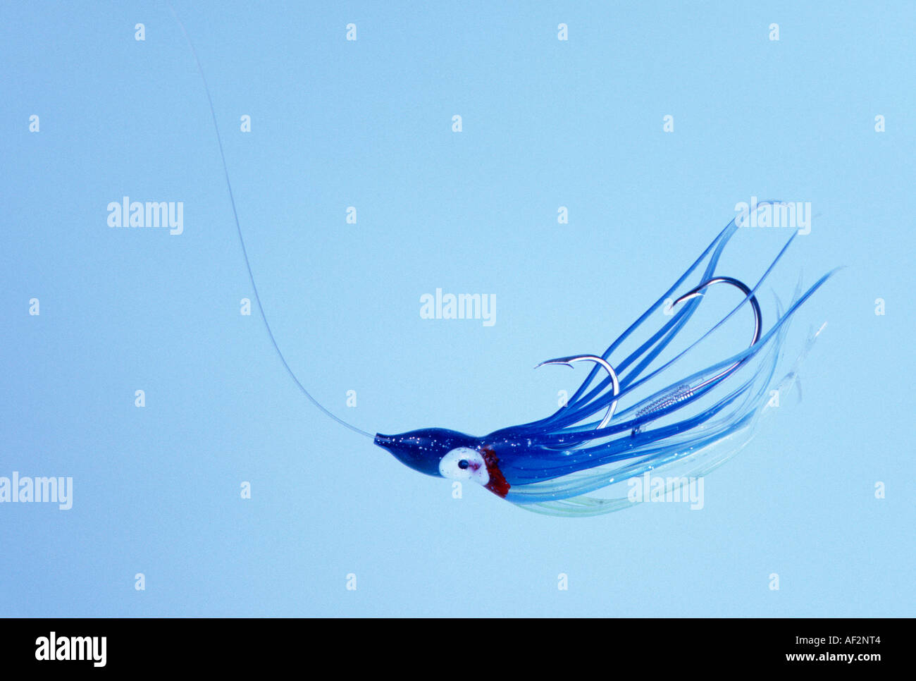 Squid hook hi-res stock photography and images - Alamy