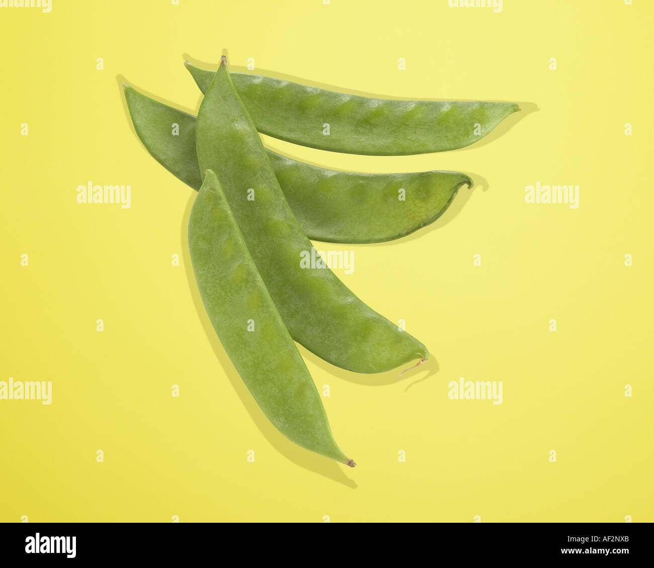 Red Rocket Stock Snow peas on color background with clipping path Stock ...