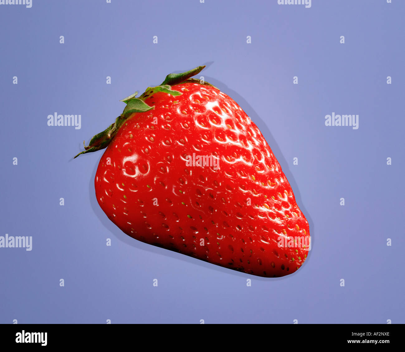 Red Rocket Stock Strawberry on color background with clipping path ...