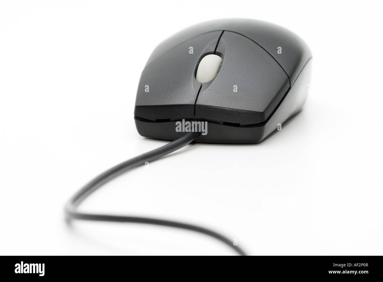 Black 2 button computer mouse isolated on white Stock Photo - Alamy