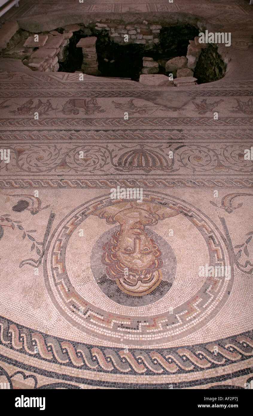 Venus, the Roman Goddess of Love depicted in a floor mosaic at Bignor ...