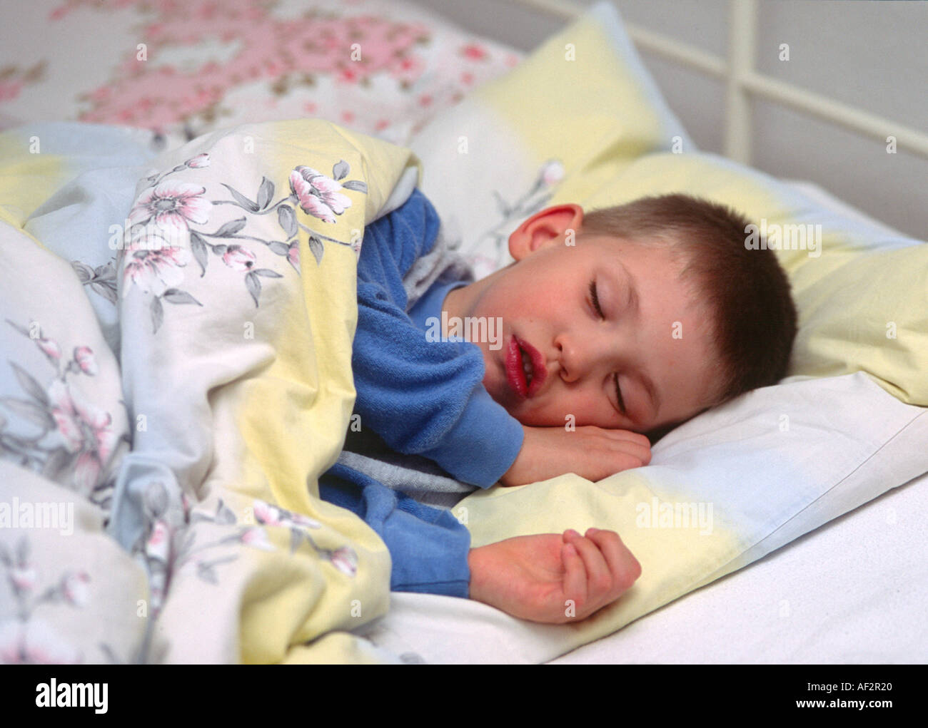 Placidly hi-res stock photography and images - Alamy