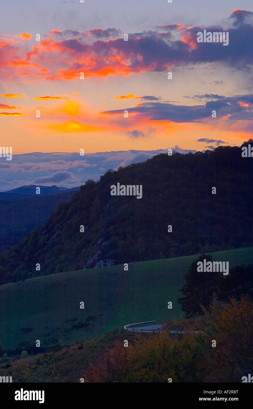 Hayedo, Selva de Irati Navarra Spain. Beech Forest Iraty Forest ...