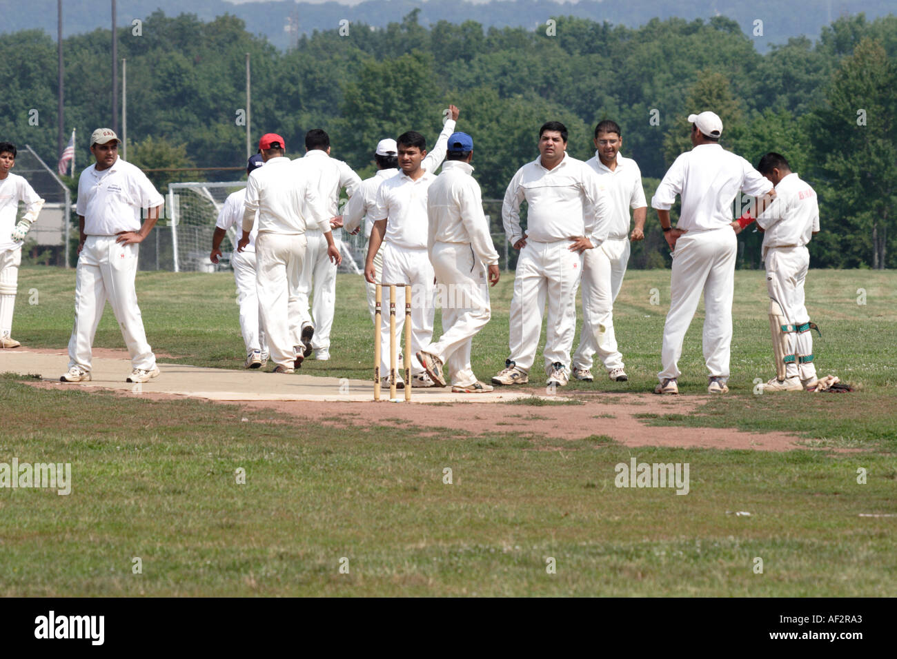 Cricket players celebrate an out Stock Photo - Alamy