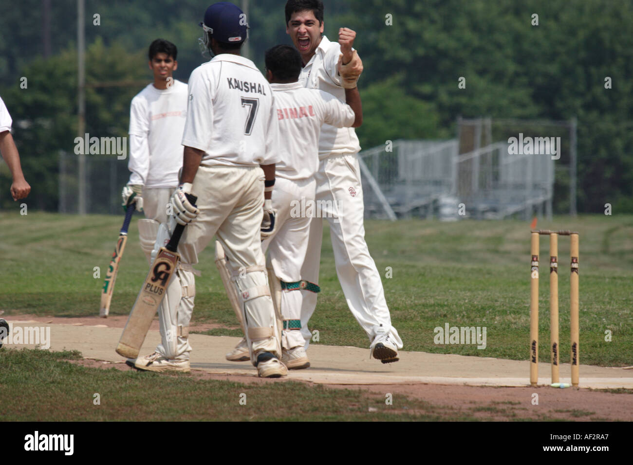 Cricket players celebrate an out Stock Photo - Alamy