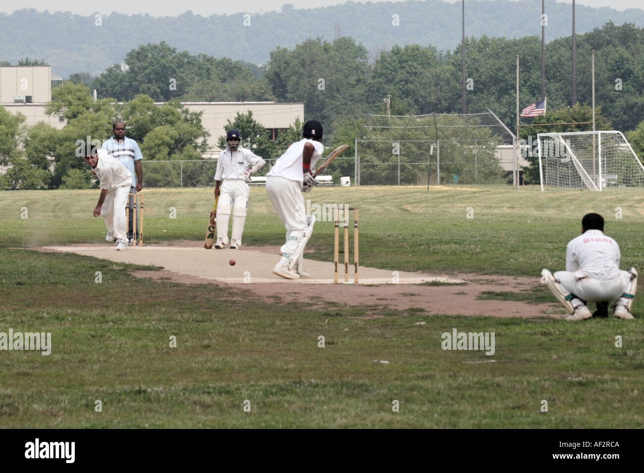 Cricket Face High Resolution Stock Photography and Images - Alamy