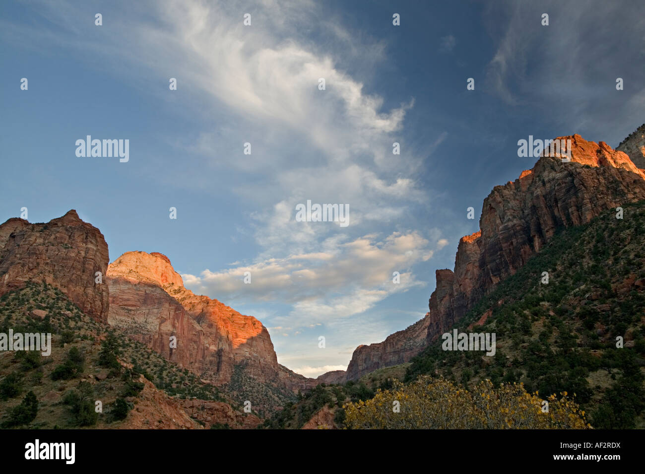 Fall colors in Zion national park Stock Photo - Alamy