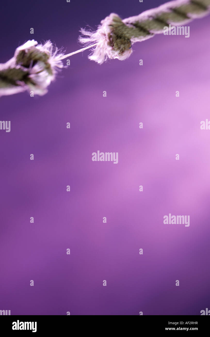 The slender thread hi-res stock photography and images - Alamy