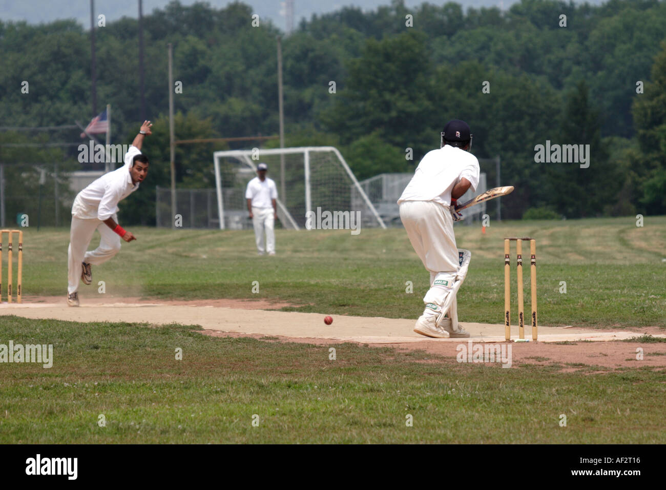 Indian flag cricket hi-res stock photography and images - Alamy