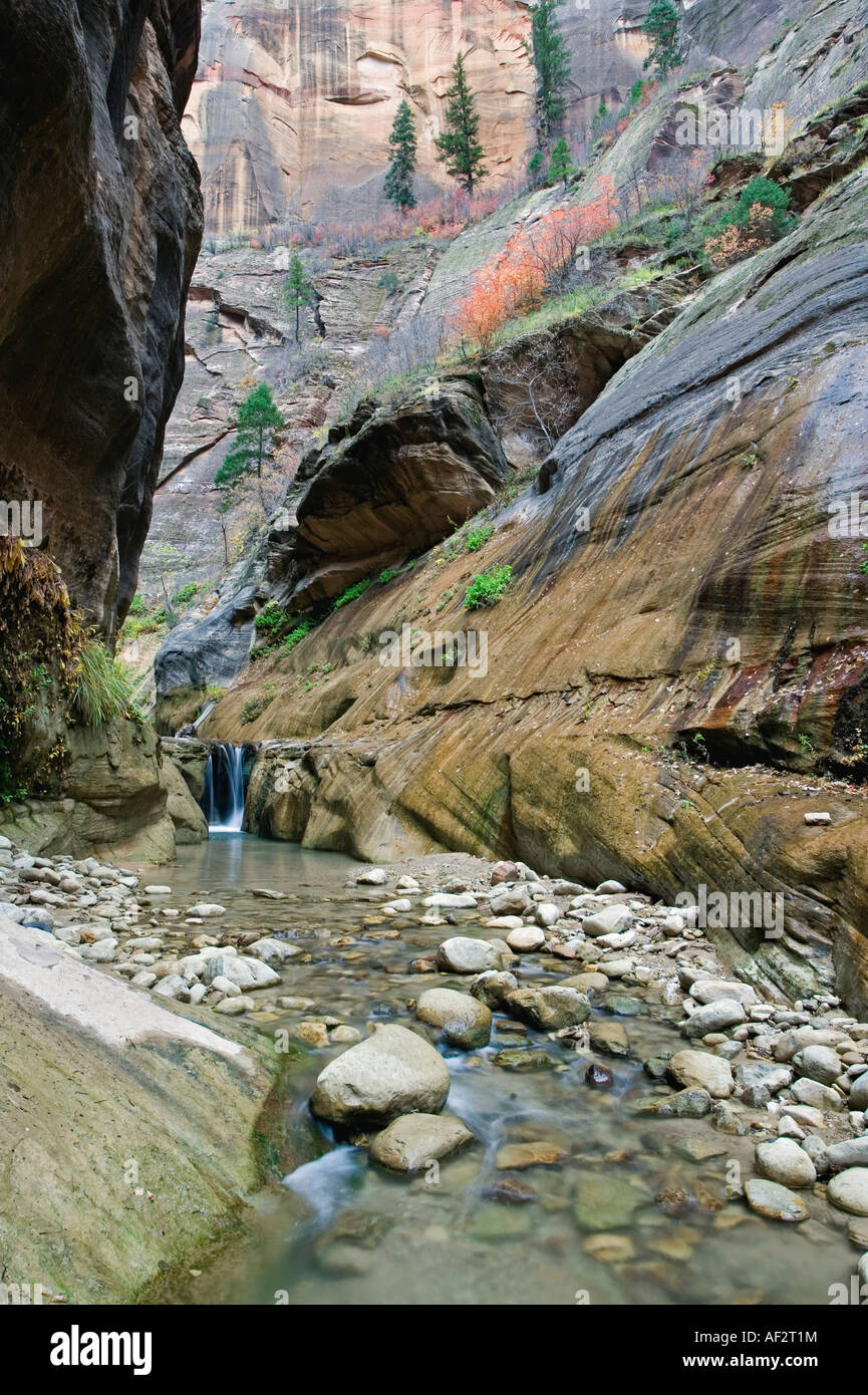 Orderville slot canyon, Narrows, zion national park Stock Photo - Alamy