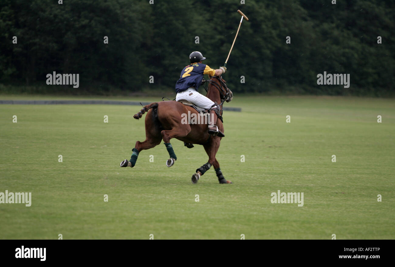 Female polo player in action hi-res stock photography and images - Alamy