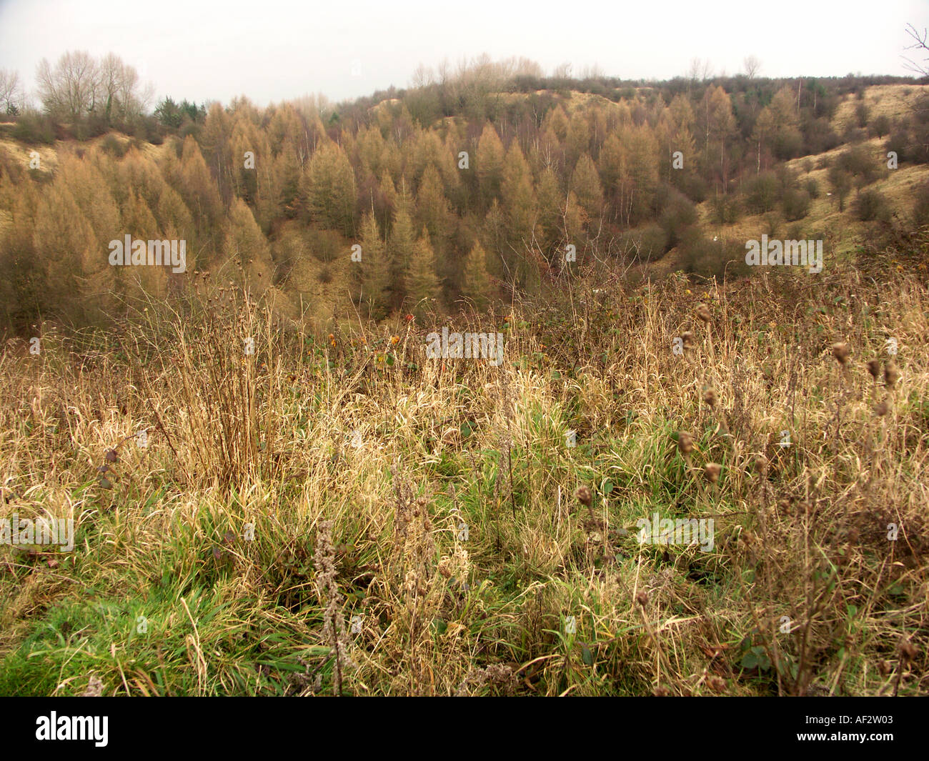 A view near the edge of the crater at RAF Fauld. Scene of the largest ...
