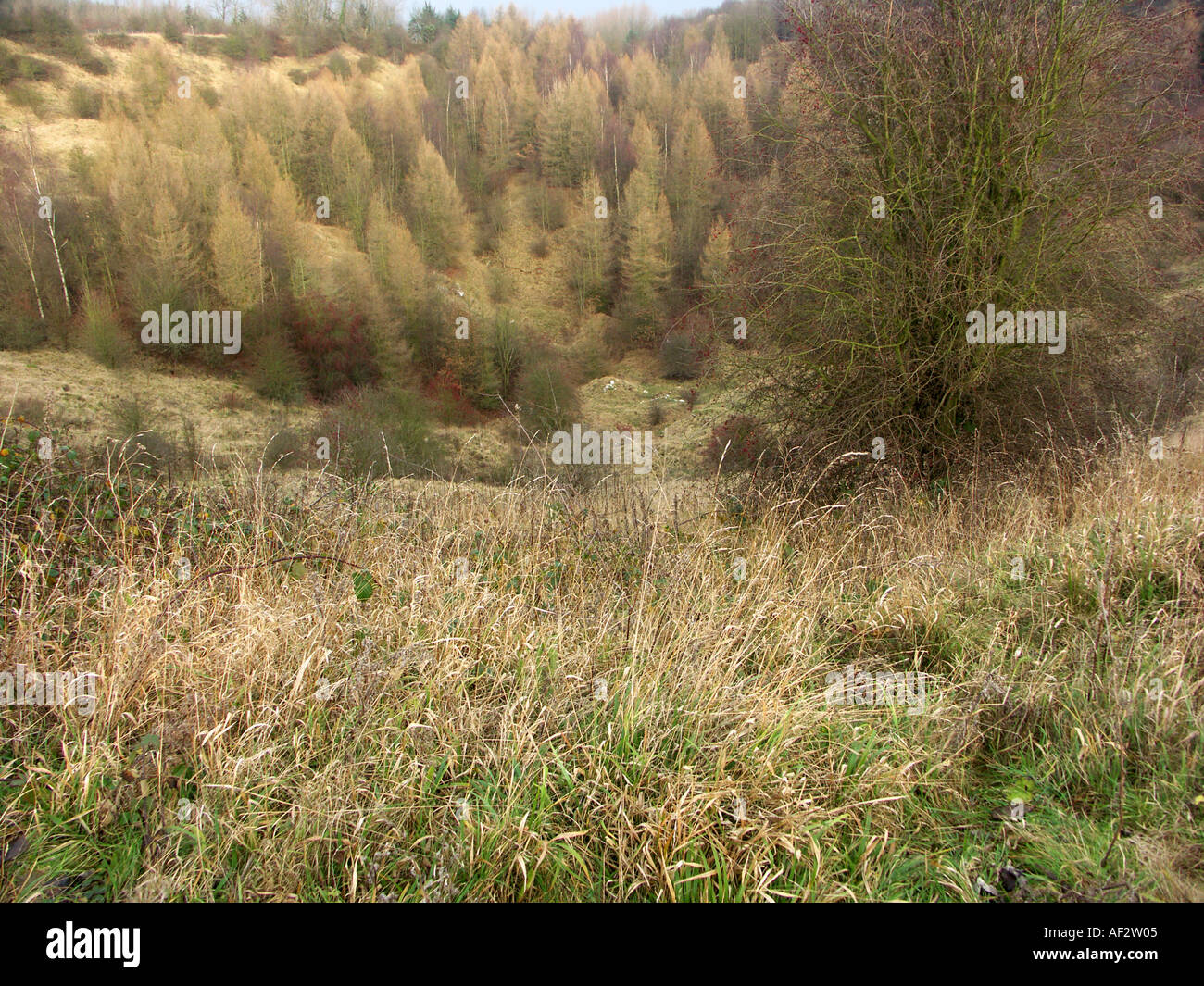 Raf fauld hi-res stock photography and images - Alamy