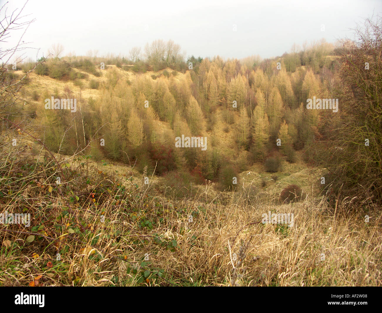 A view near the edge of the crater at RAF Fauld. Scene of the largest ...