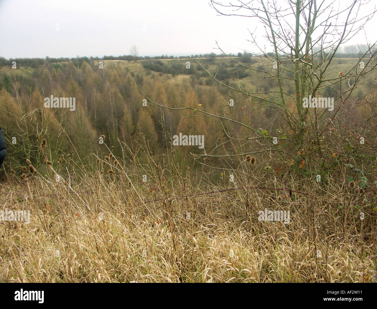 Raf fauld hi-res stock photography and images - Alamy