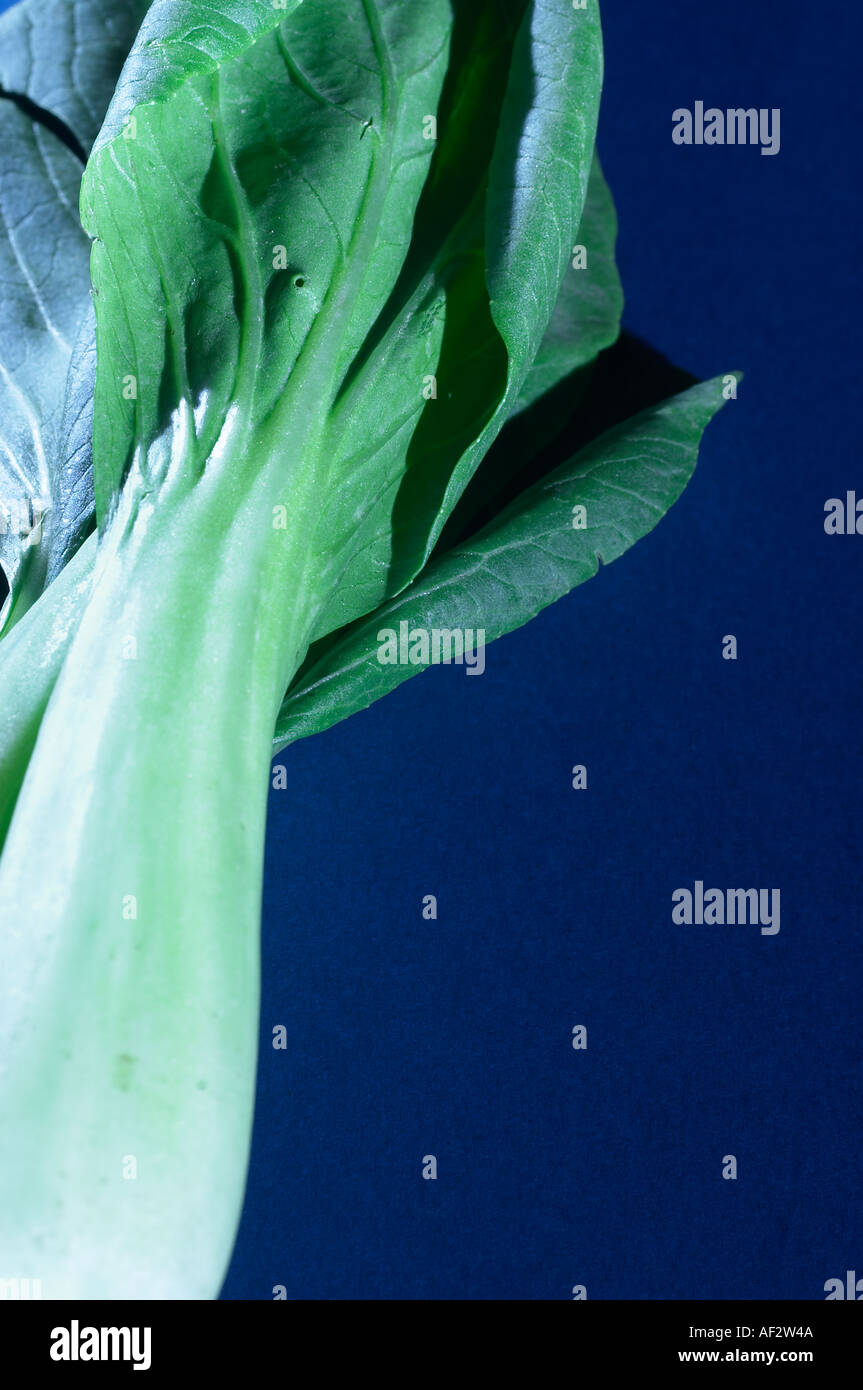 Bokchoy hi-res stock photography and images - Alamy