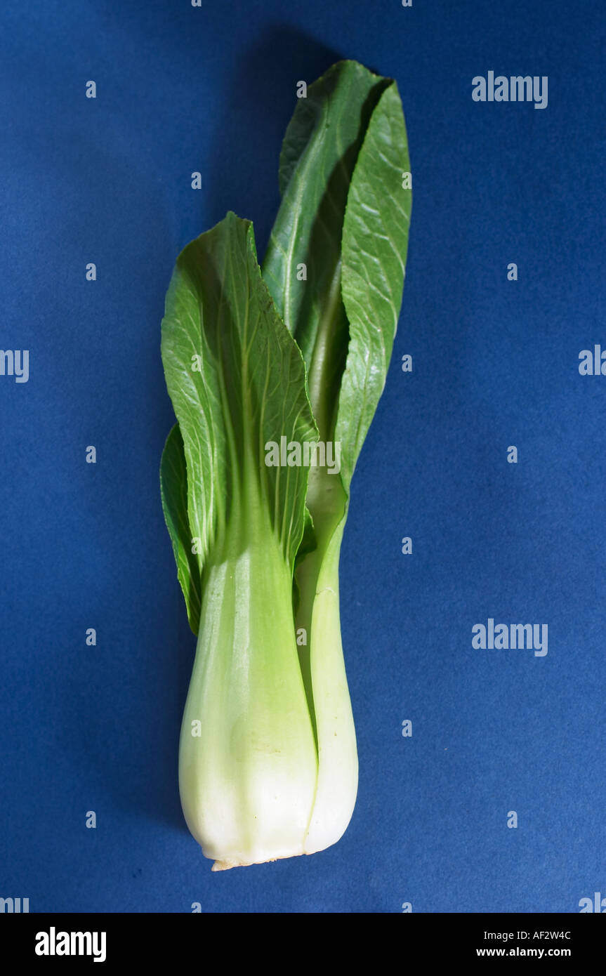 Bokchoy hi-res stock photography and images - Alamy