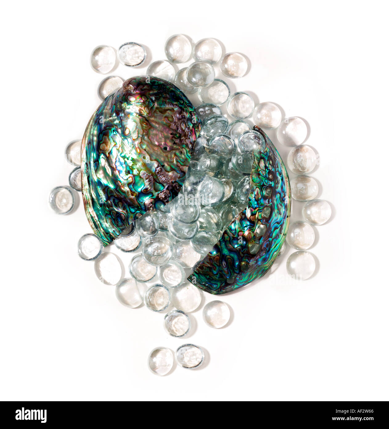 Weird shell hi-res stock photography and images - Alamy