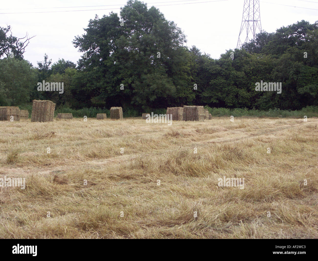 Hay making and baling British Countryside Bales Stock Photo - Alamy