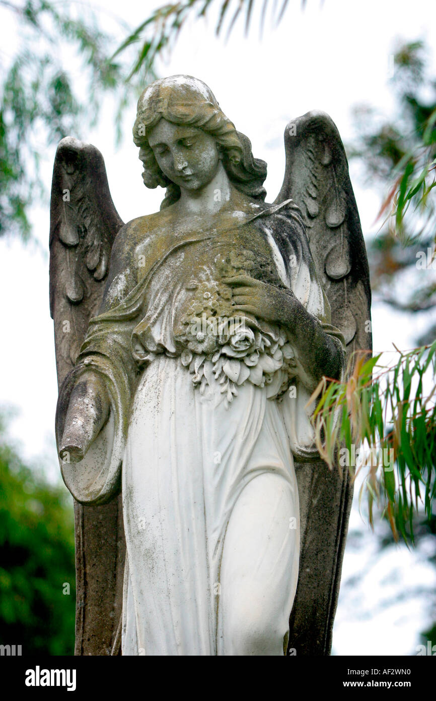 Angel in graveyard Stock Photo - Alamy